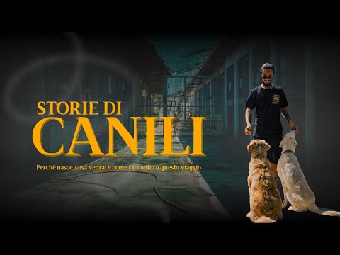 Storie di Canili – Dare voce a cani, volontari e realtà invisibili d ...